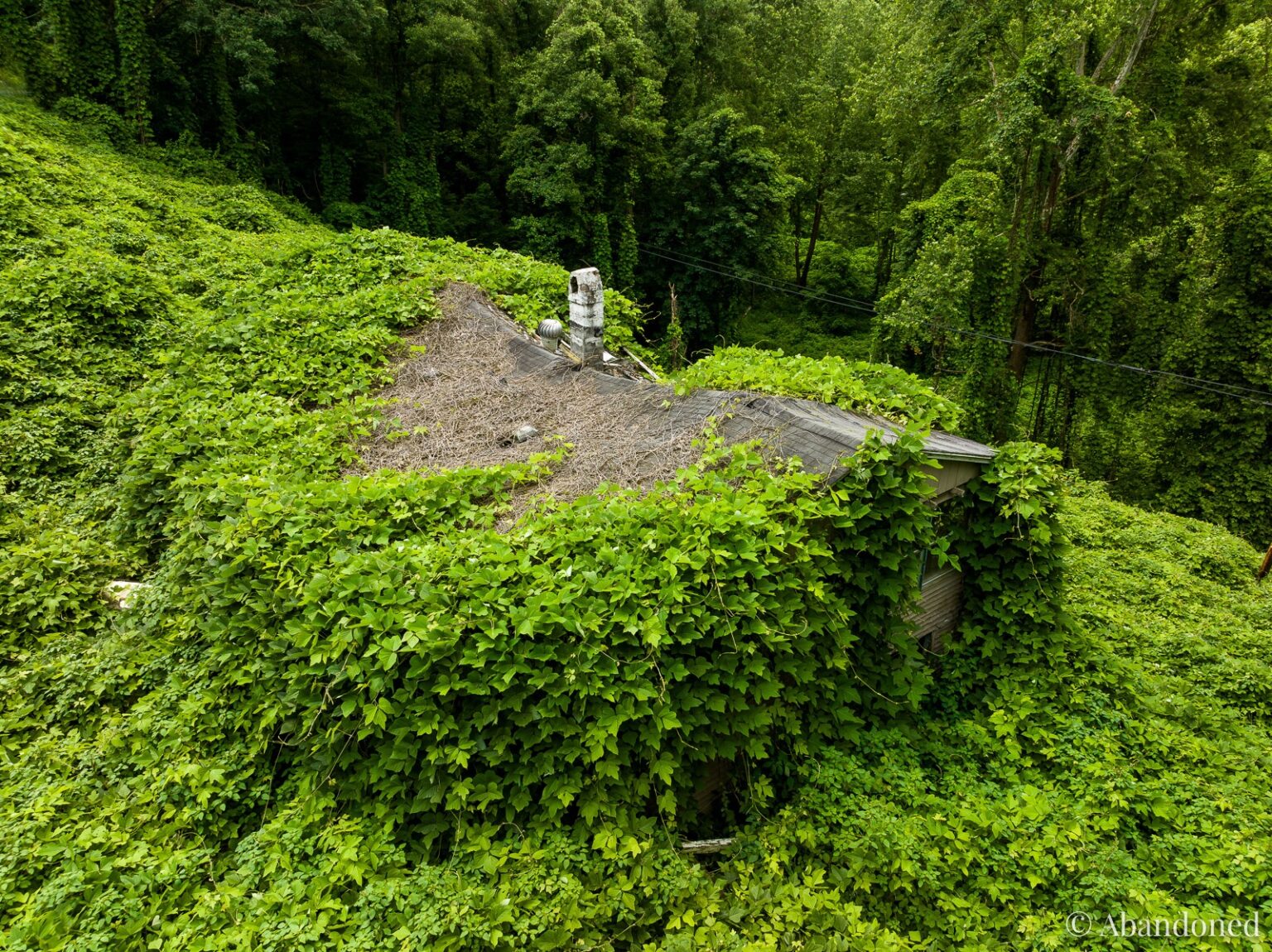 Photographer captures ‘terrifying’ photo of abandoned home completely ...
