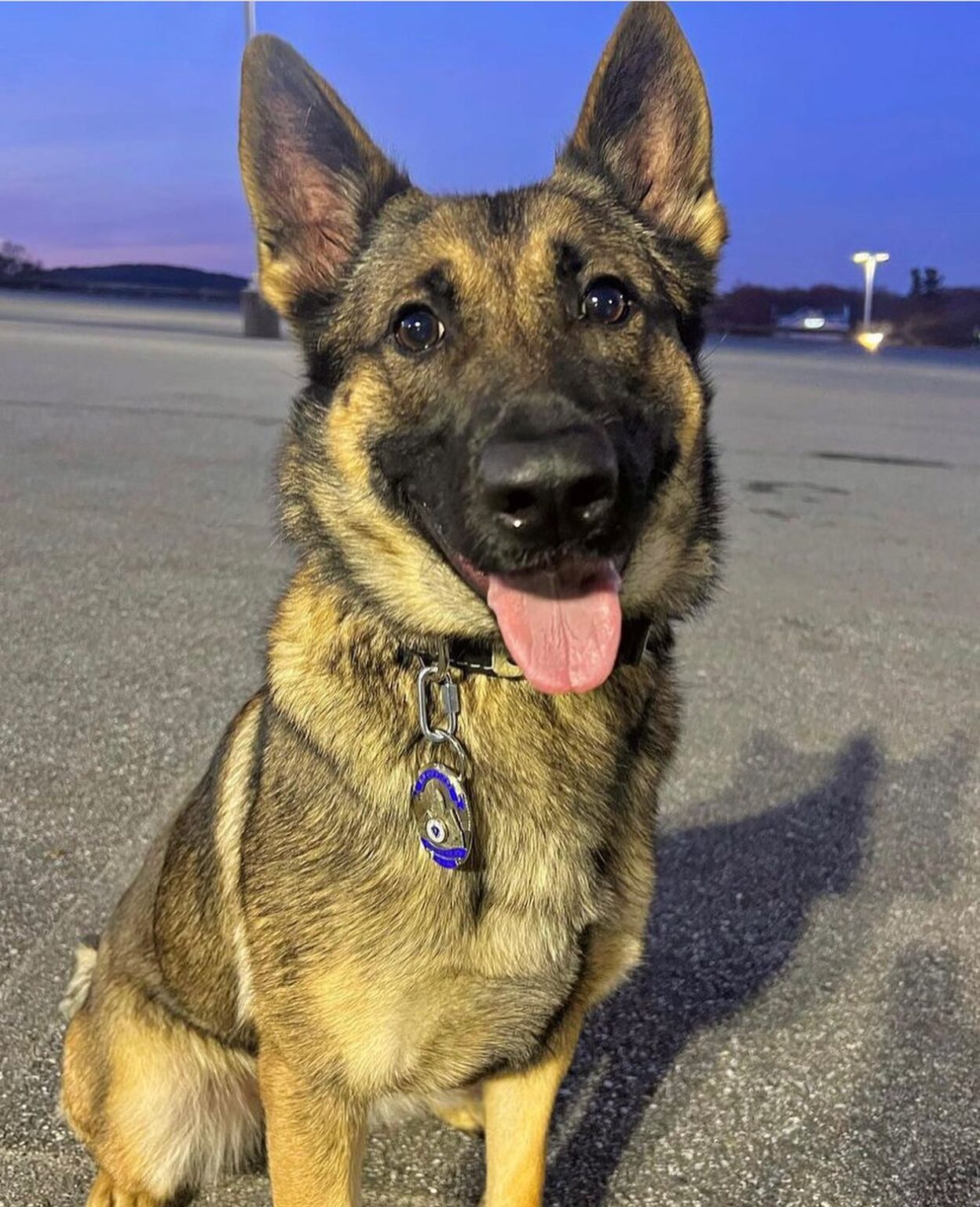 Hero K9 tracks down 12-year-old missing in freezing weather — thank you ...