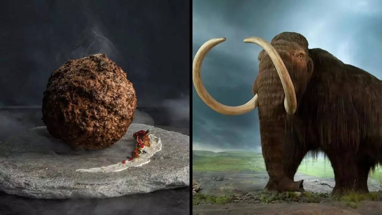 Mammoth Meatball Created Using Mammoth DNA Mixed With Elephant DNA ...
