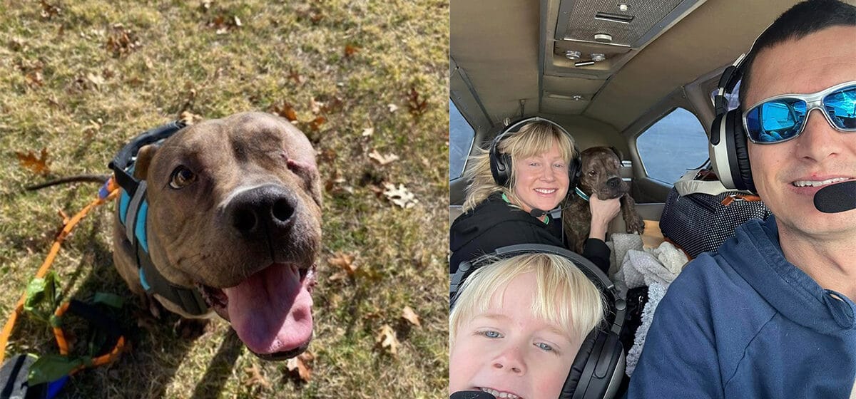 One-eyed shelter dog was about to be euthanized — then a pilot and a ...