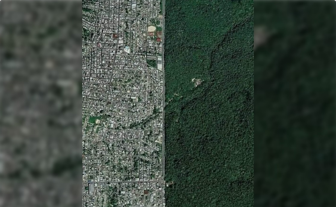 Where City Meets Jungle: Unveiling the Border Between Manaus and the ...
