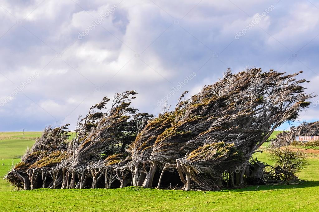 Welcome to Slope Point, an awe-inspiring landscape nestled at the ...