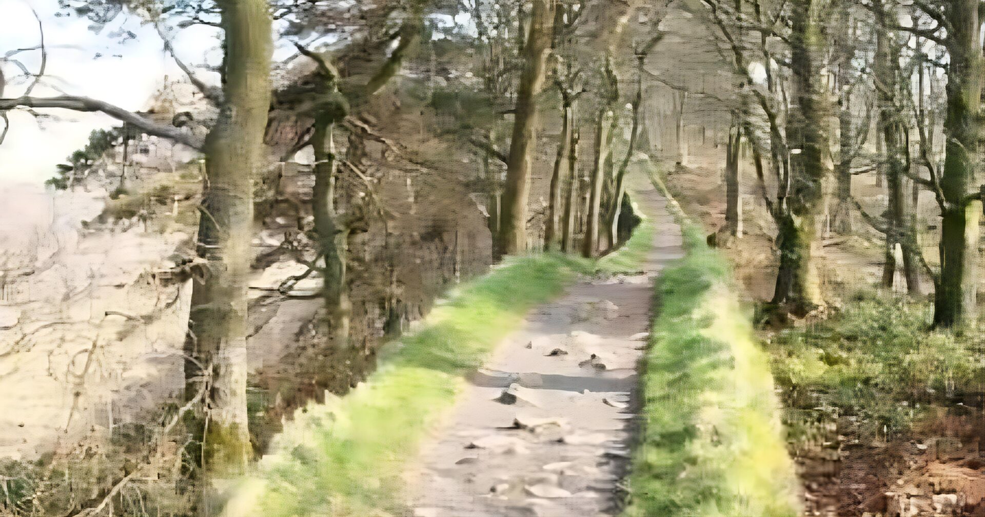 Hadrian’s Wall Path: 84 Mile Trail From Coast-To-Coast - Hasan Jasim