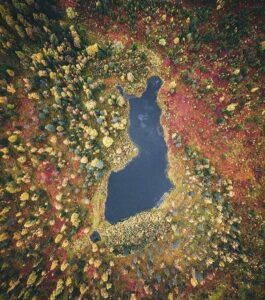 Finland's Mirror: The Uncanny Resemblance of Lake Neitokainen - Hasan Jasim