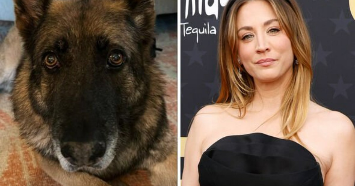 Kaley Cuoco, partner Tom Pelphrey announce death of beloved dog Blue ...