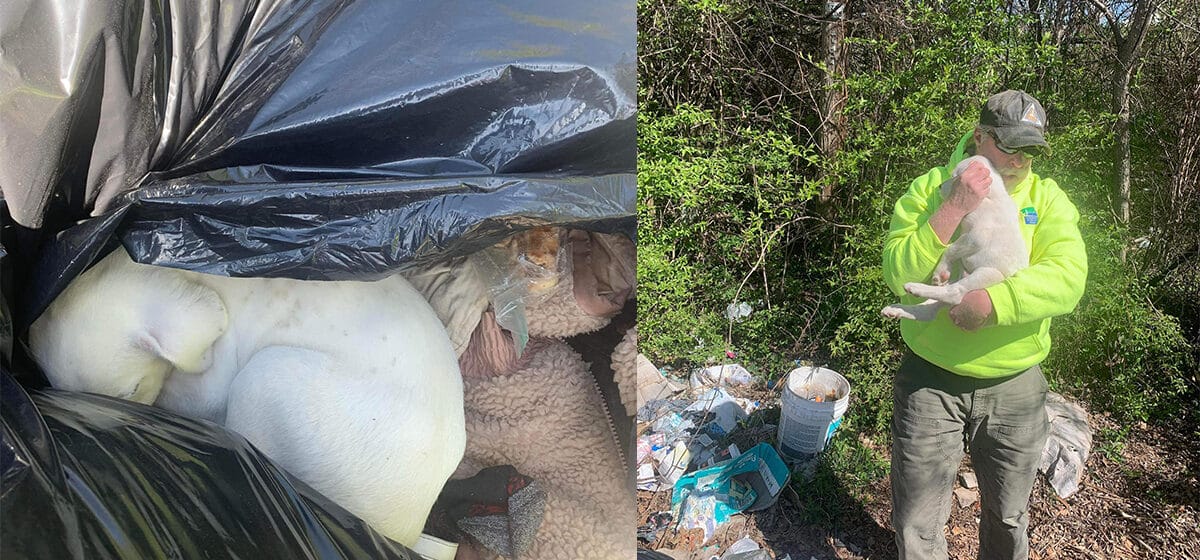 Trash crew finds tiny puppy abandoned in garbage bag — one man sees him ...