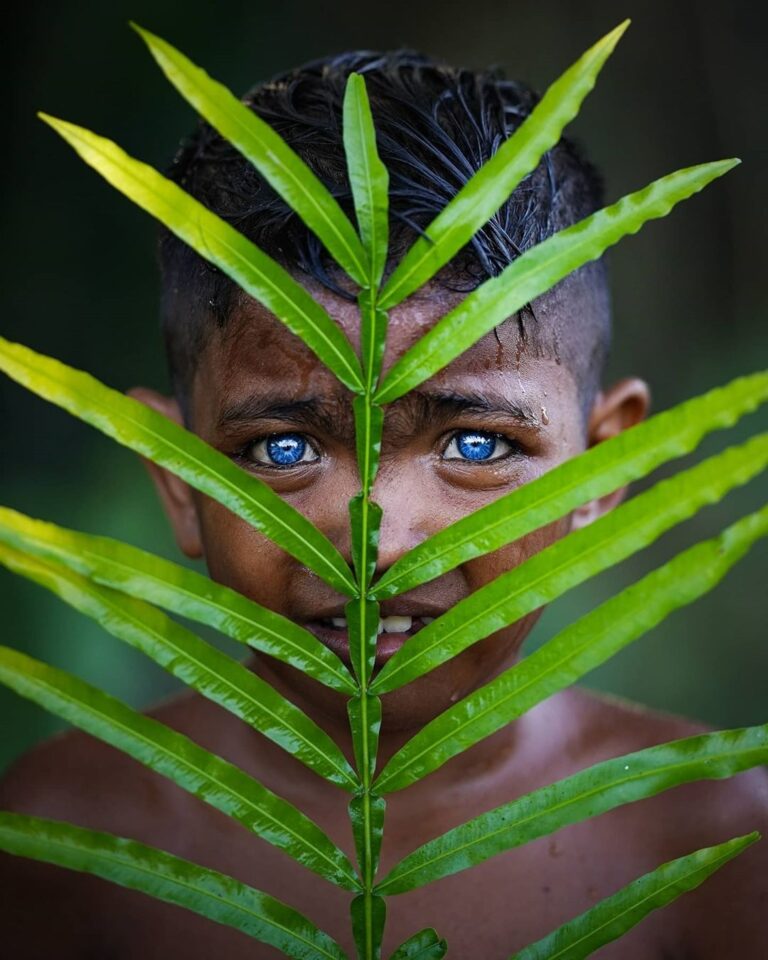 Island of Intrigue: Unveiling the Blue Eyes of the Buton Tribe - Hasan ...