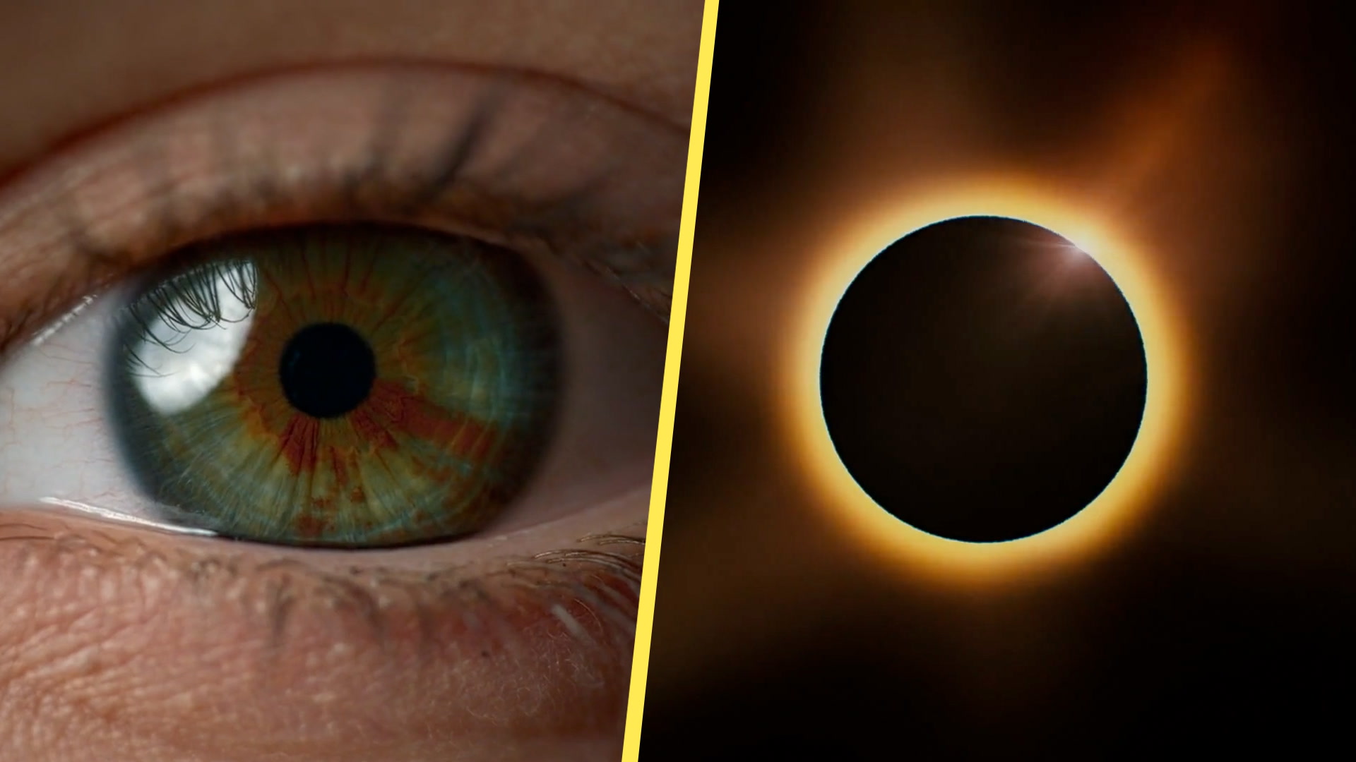 How to Know if Your Eyes Are Damaged from the Eclipse - Hasan Jasim