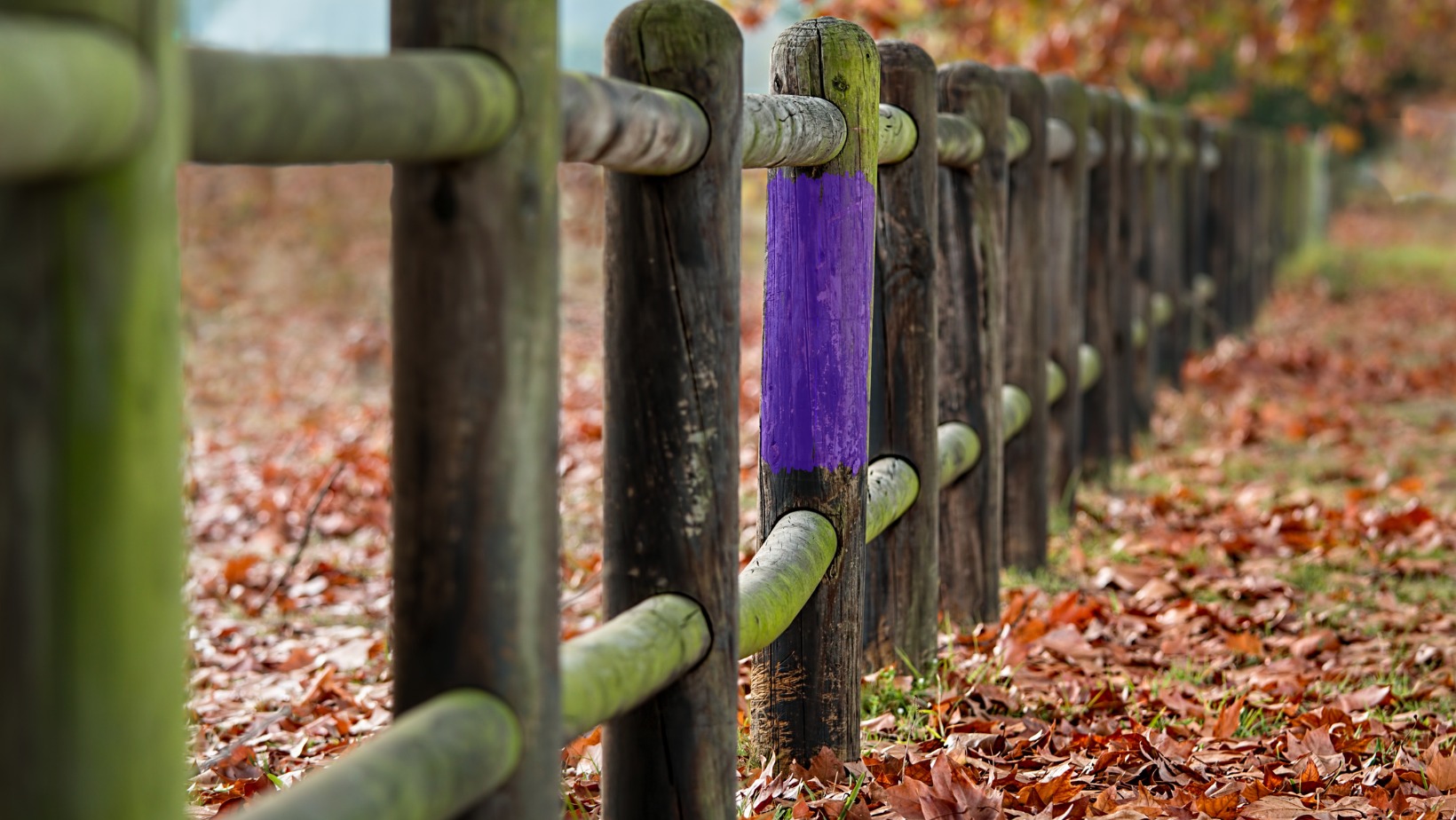 If you see a purple fence post, you need to know what it means - Hasan ...