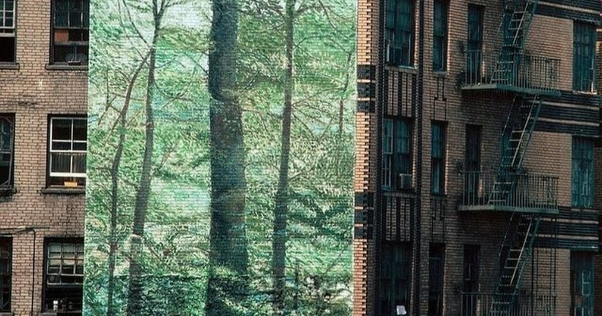 A Disappearing Oasis: A Look Back at the South Bronx Forest Mural ...