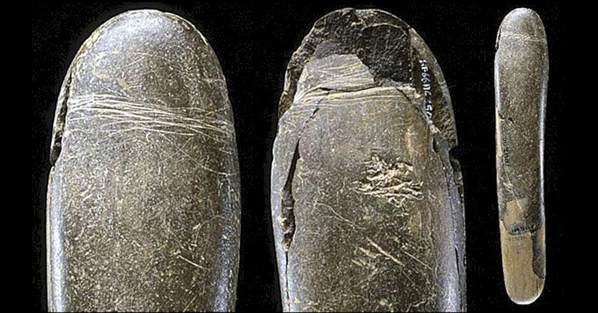 This 28,000-Year-Old Ancient Phallus Unearthed in a Cave in Germany Had ...