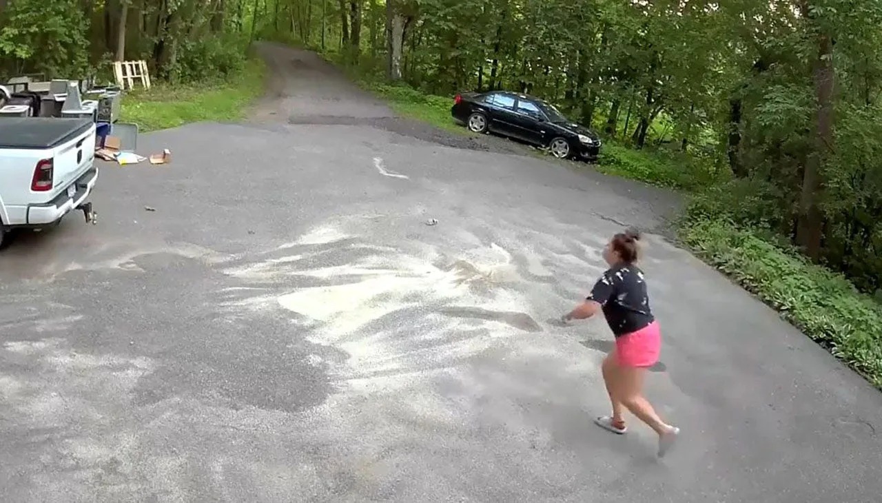 Heart-pounding video shows bear chase dog, then Minnesota woman in ...