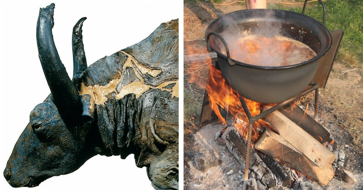 Scientists Ate a Stew From a 50,000-Year-Old Bison to See What It ...