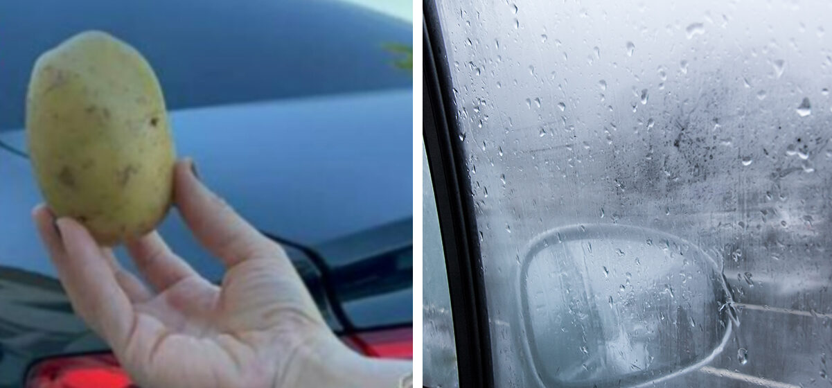 Here’s why it can be a good idea to carry a potato in your car - Hasan ...