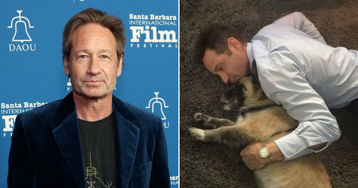 David Duchovny announces death of beloved rescue dog Brick: shares ...
