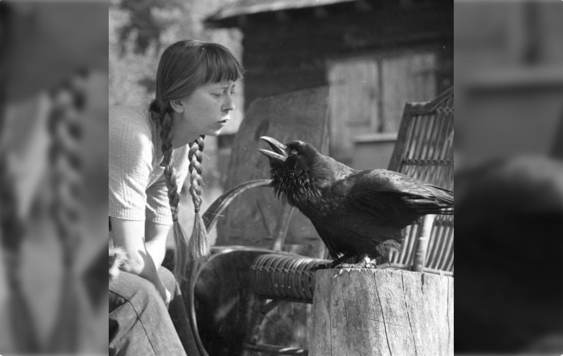 Legendary Conservationist Simona Kossak Lived Her Life in a Forest Hut ...