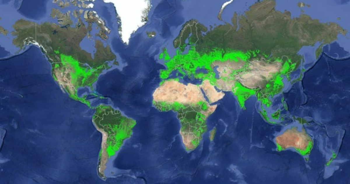 New High-Resolution Map Reveals World’s Cropland Distribution - Hasan Jasim