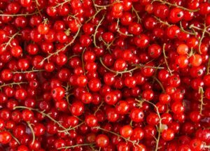 30 Different Types of Berries (and Why You Should Be Eating Each and ...