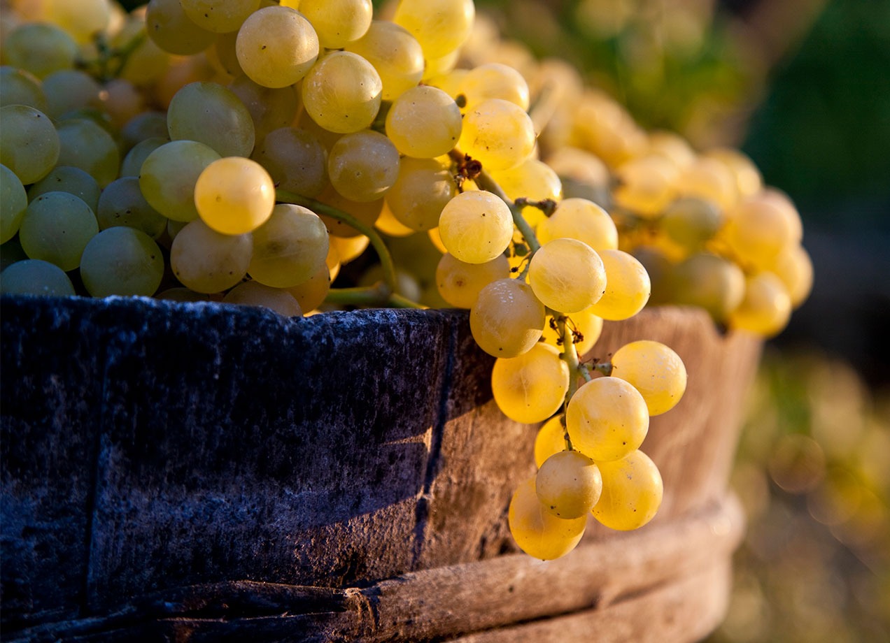 30 Different Types of Berries (and Why You Should Be Eating Each and ...