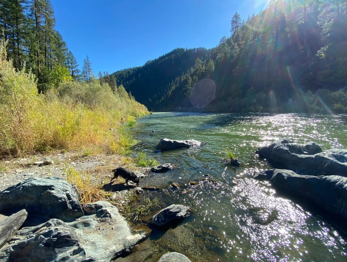 Water Is Freely Flowing Down The Klamath River For First Time In 100 Years - Hasan Jasim
