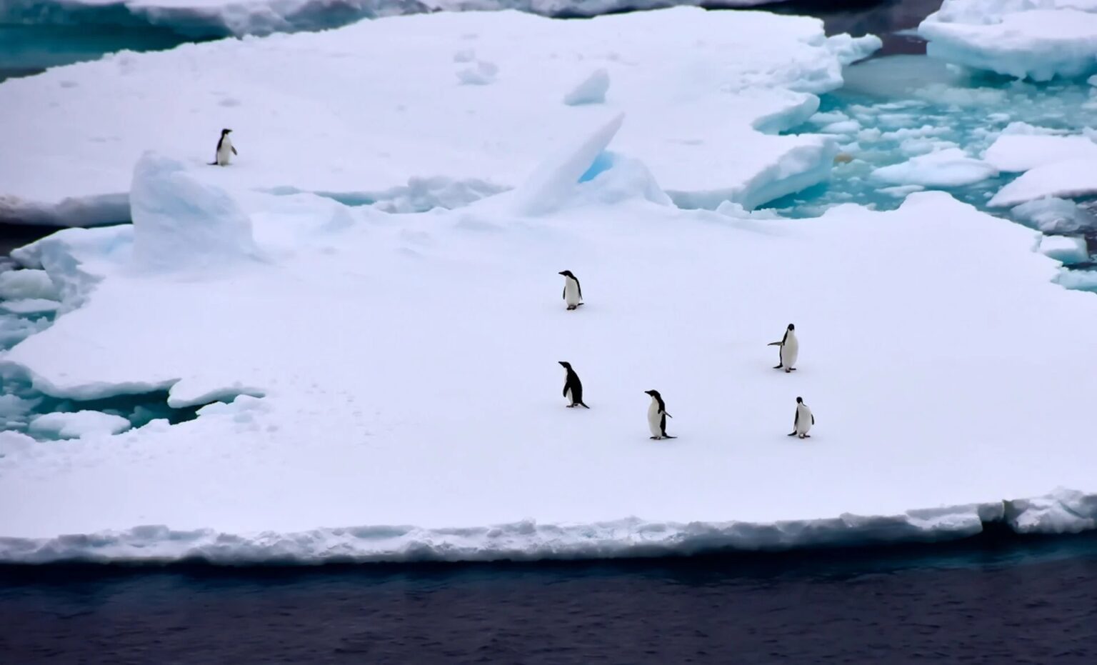 Scientists Alarmed by Rapidly Changing ‘Floating’ Continent: Large ...