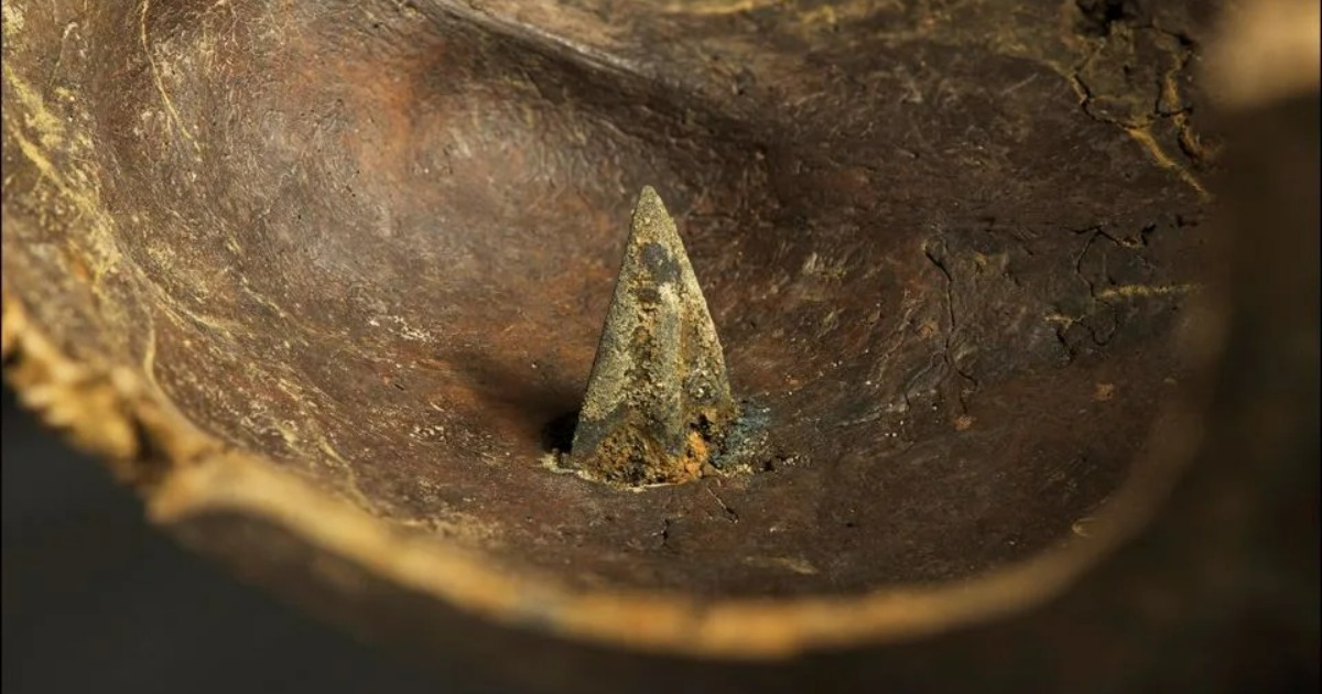 Thousands of bones and hundreds of weapons reveal grisly insights into ...