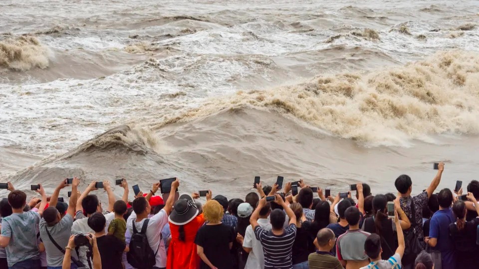 Disturbing video shows a large group of Chinese selfie-takers swept up ...