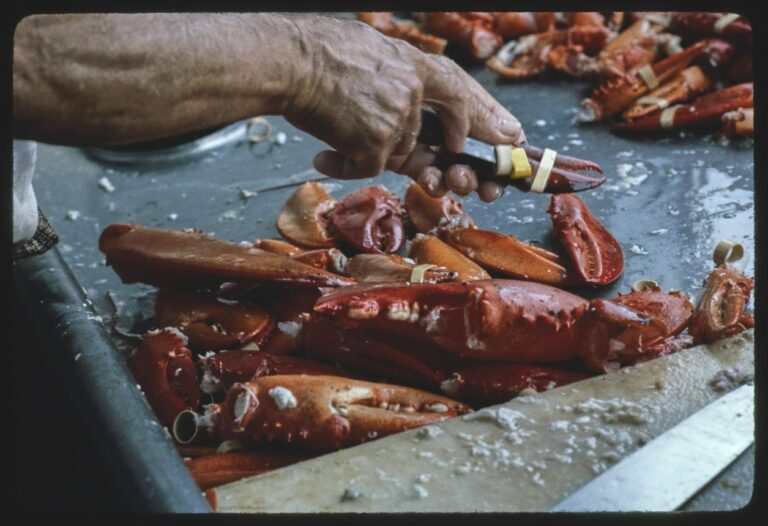 From Trash to Treasure: The Incredible Journey of Lobster from Humble ...