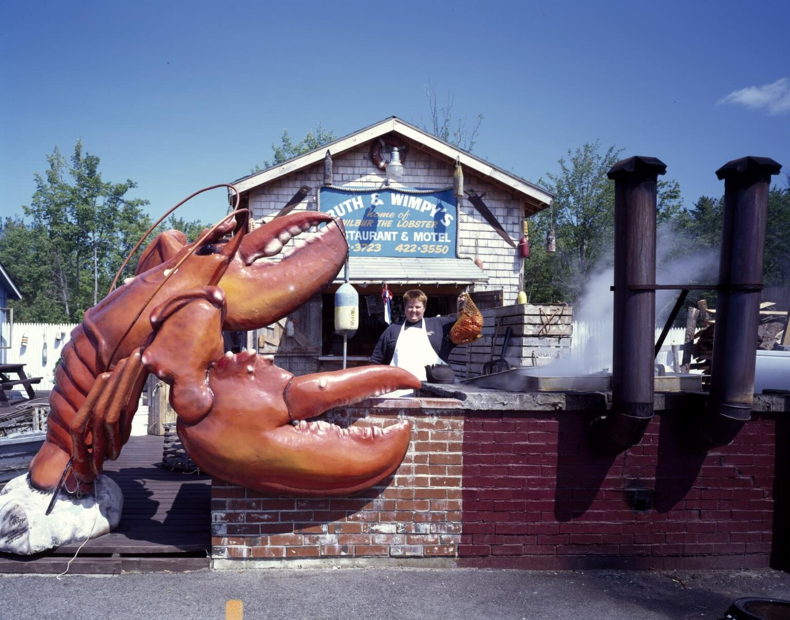 From Trash to Treasure: The Incredible Journey of Lobster from Humble ...