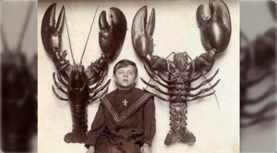 From Trash to Treasure: The Incredible Journey of Lobster from Humble ...