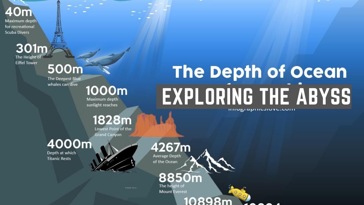 Exploring the Abyss: The Mesmerizing Depths of the Ocean Beyond 200 ...