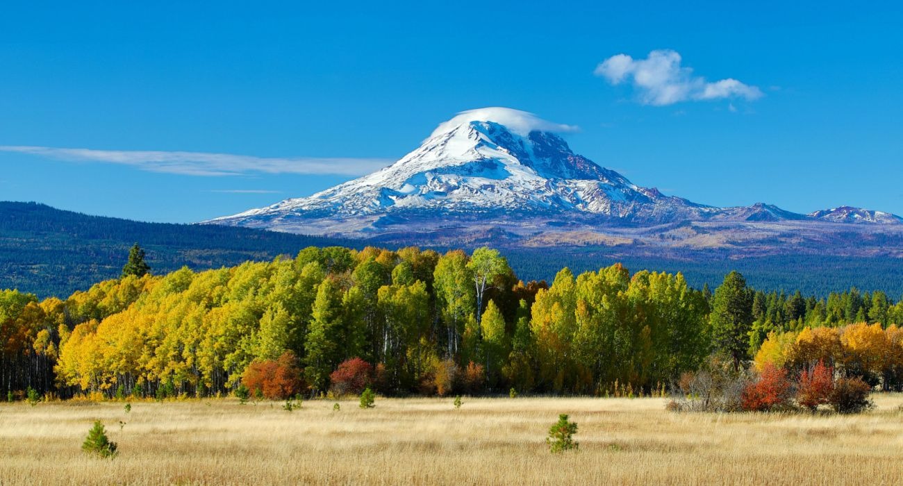 Mount Adams, Washington’s Largest Active Volcano, Sees Record-Breaking ...