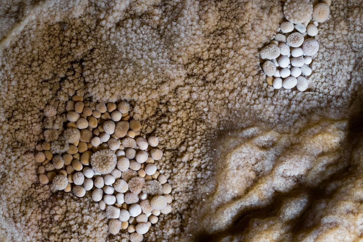 The Ethereal Beauty of Cave Pearls: Hidden Gems of the Underworld ...
