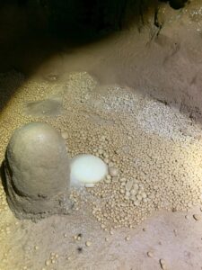 The Ethereal Beauty of Cave Pearls: Hidden Gems of the Underworld ...