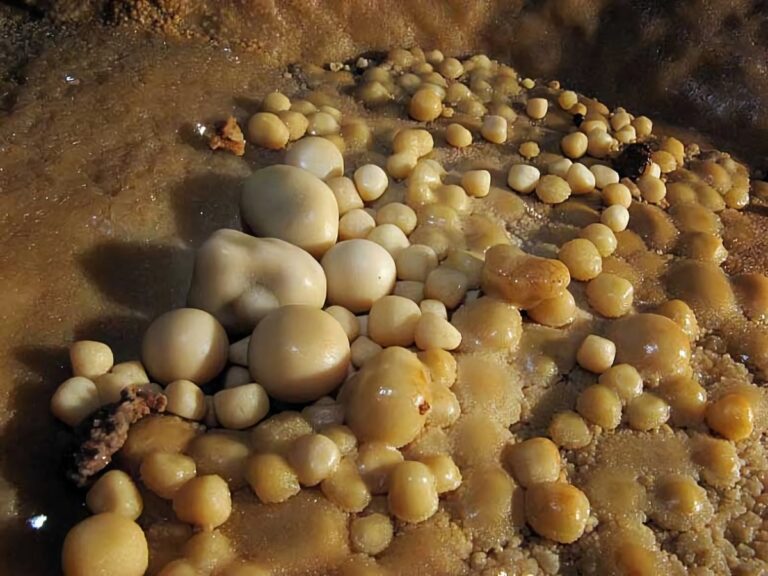 The Ethereal Beauty of Cave Pearls: Hidden Gems of the Underworld ...