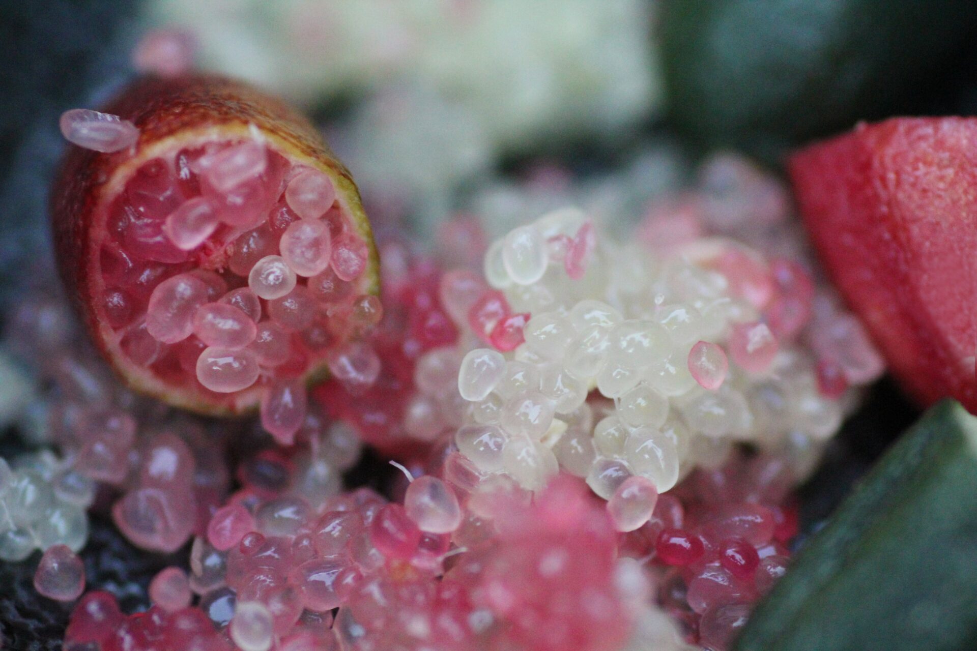 Discover the Unique and Luxurious World of Finger Lime: Nature’s Citrus ...