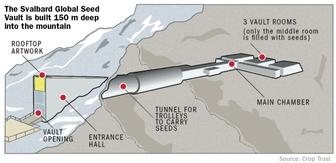 Inside the “Doomsday” Vault: The Global Seed Vault Safeguarding ...