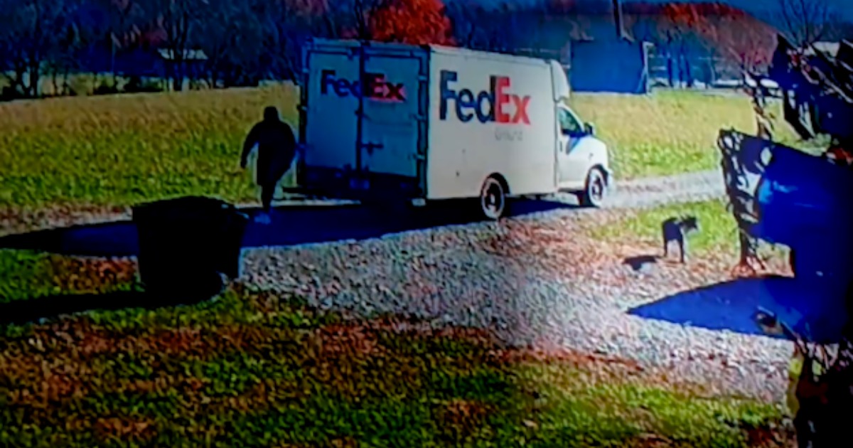 FedEx driver ran over senior dog, drove off without a word — now family ...