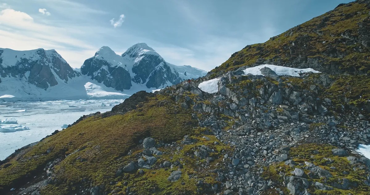 Maps Show Antarctic Is Turning Green With Plant Life – A Troubling Sign ...