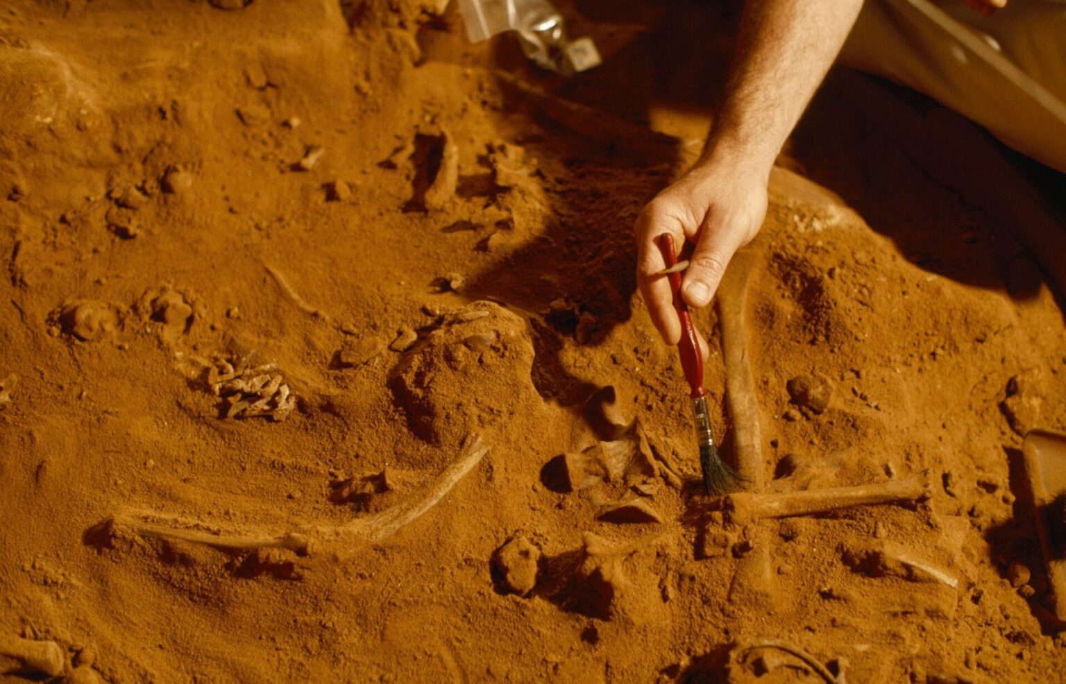 Archaeologists Found 115,000-Year-Old Human Footprints Where They ...