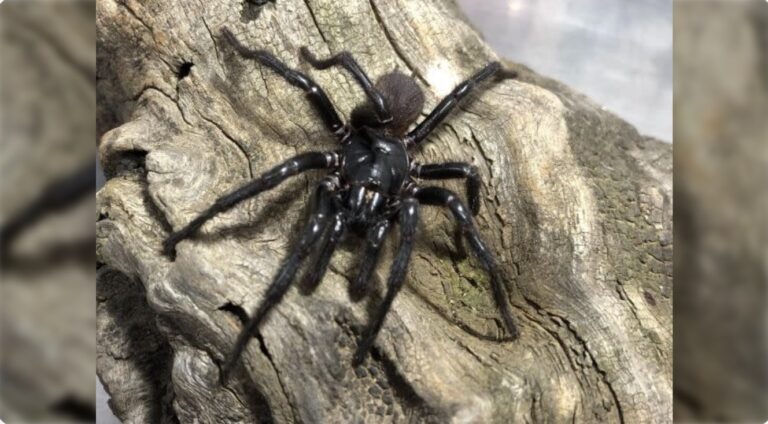 Exploring the Pinglu Rift Valley: A Geological Marvel in Shanxi, China ...