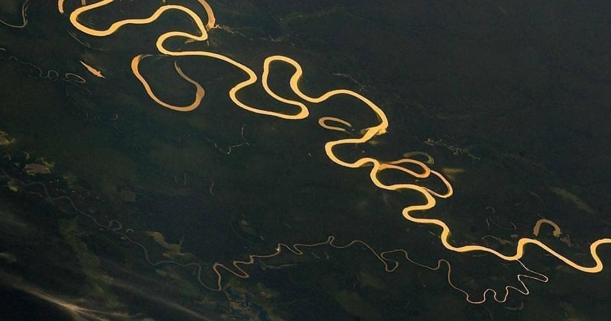 The Amazon River: A Natural Wonder Surpassing the Nile and Powering the ...