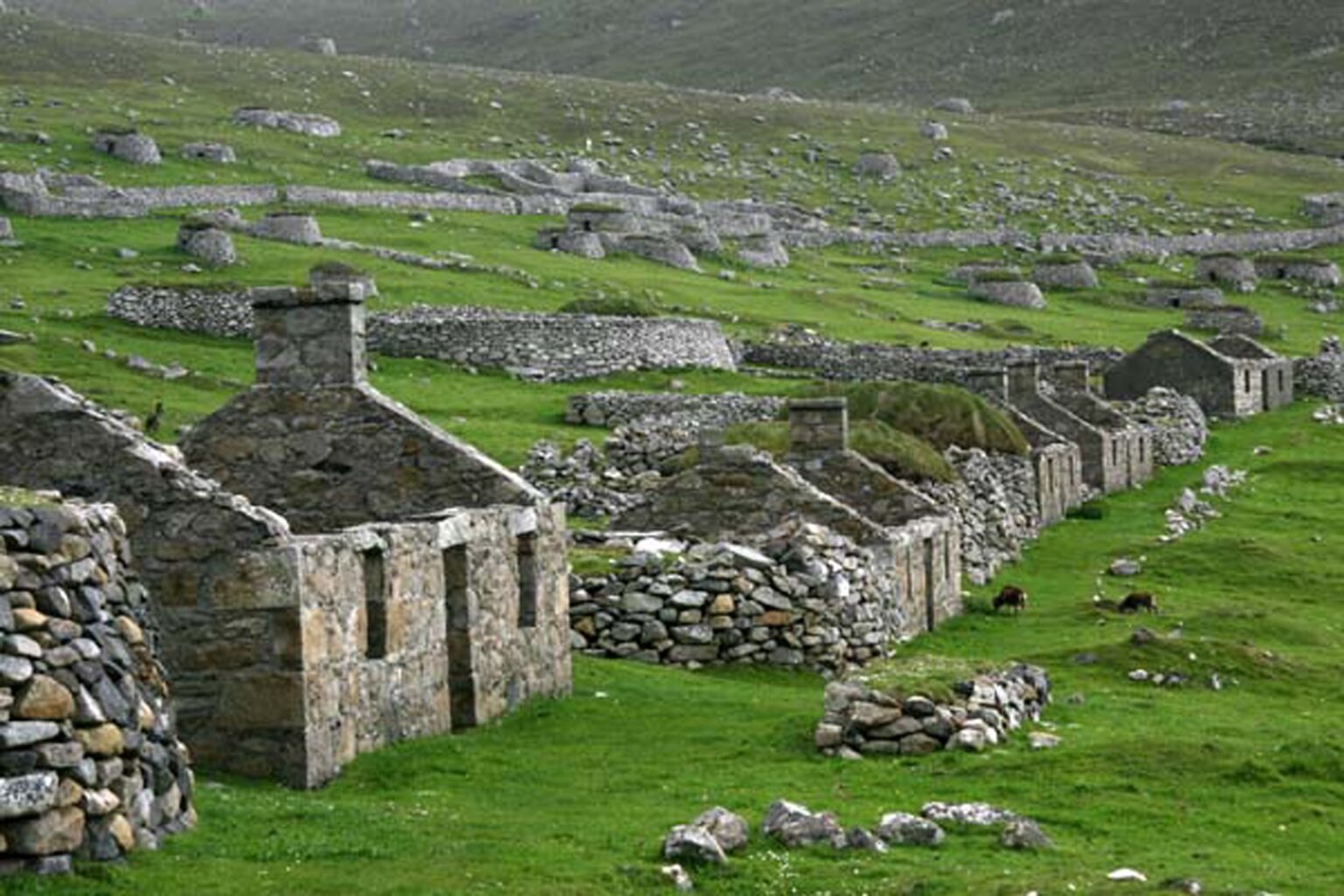 The Forgotten World of St. Kilda: A Glimpse Into Life 160 Years Ago ...