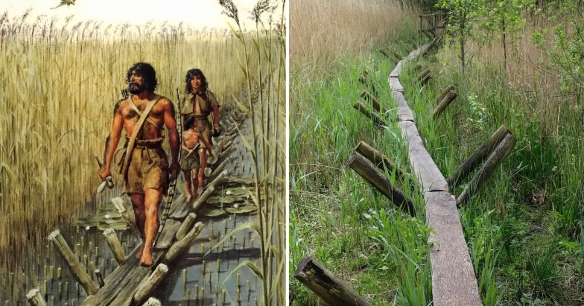 Walking Back in Time: Uncovering the 5,830-Year-Old Sweet Track in ...