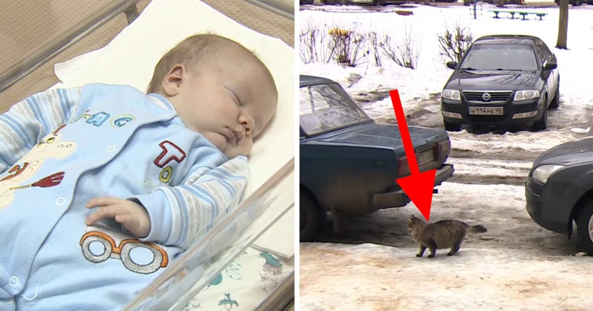 Baby is abandoned and left to freeze to death – but now watch what this ...
