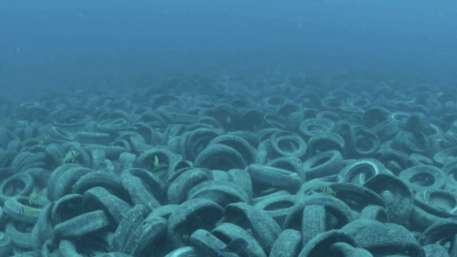 Group shares eerie photos of disastrous man-made reef off coast of ...