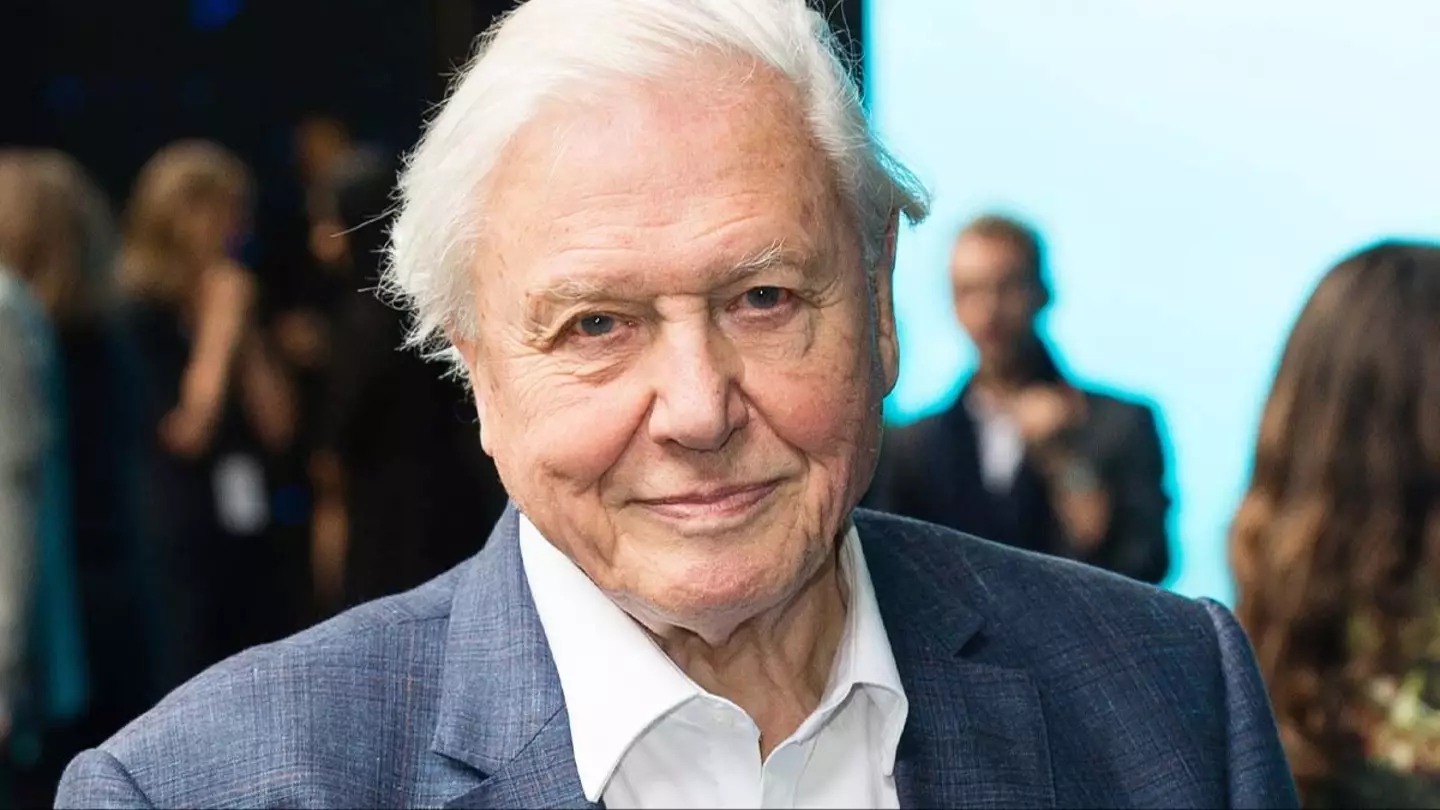 Human skull found in David Attenborough's garden helped end a 131-year ...