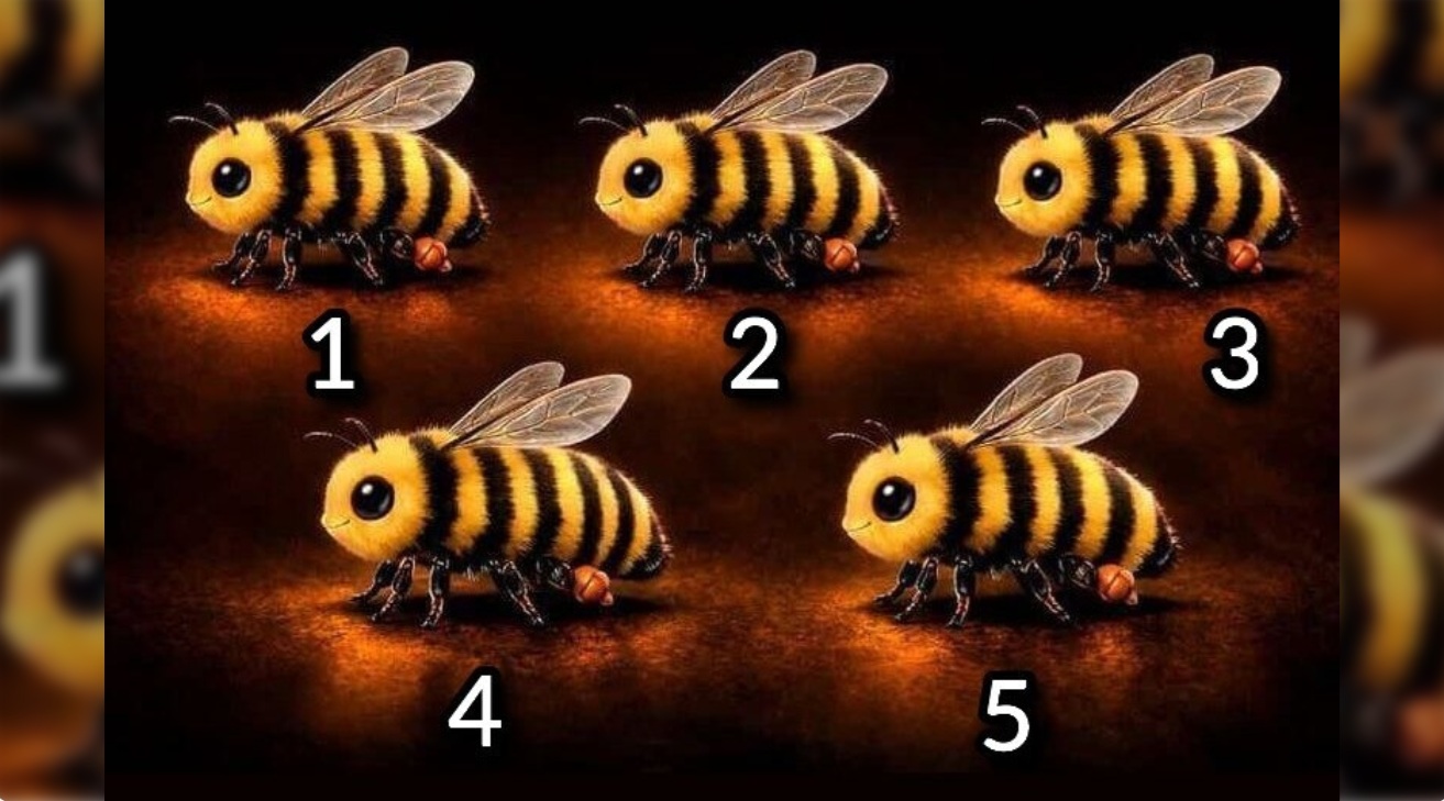 Don’t Cheat. Pick The Odd One Out To See How ‘Difficult’ You Really Are ...