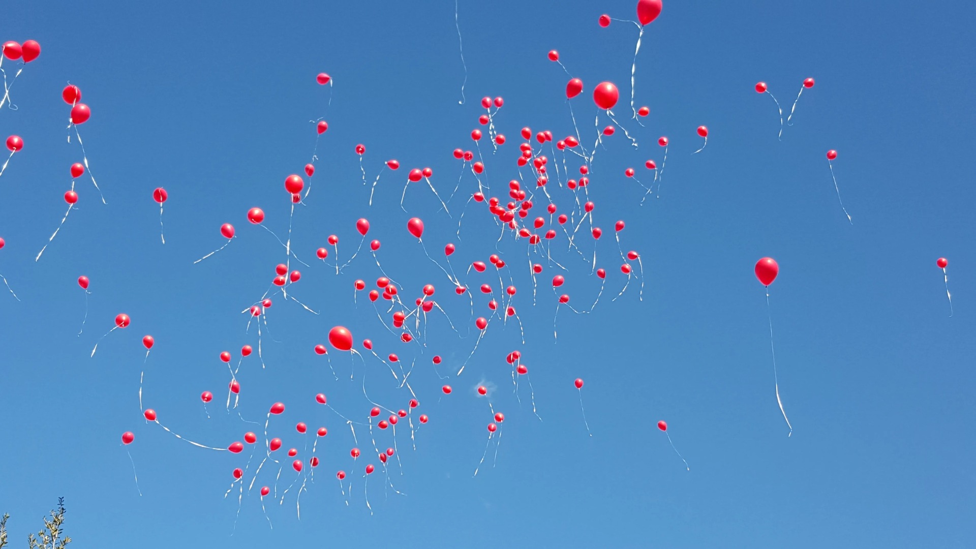 Balloon releases will soon be illegal in this U.S. state over concerns ...